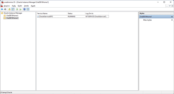 ORA-00742 Log read detects lost write in Oracle